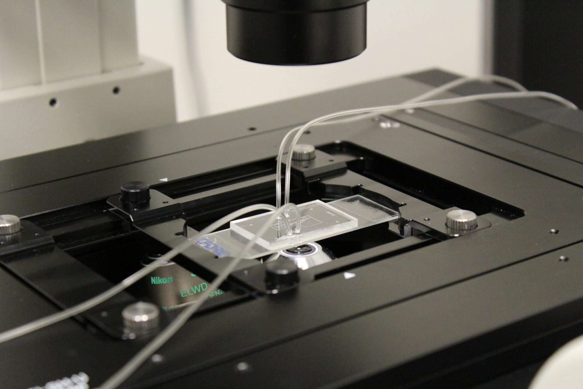 Workshops & Trainings | Organ-on-Chip | SynVivo